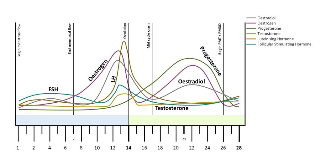 ADHD, PMDD, Mid Cycle Crash and Hormone Interactions - Joshua Davidson ...